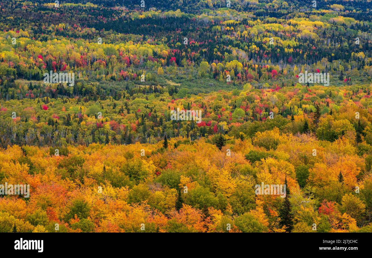 Colourful autumn landscape hi-res stock photography and images - Alamy