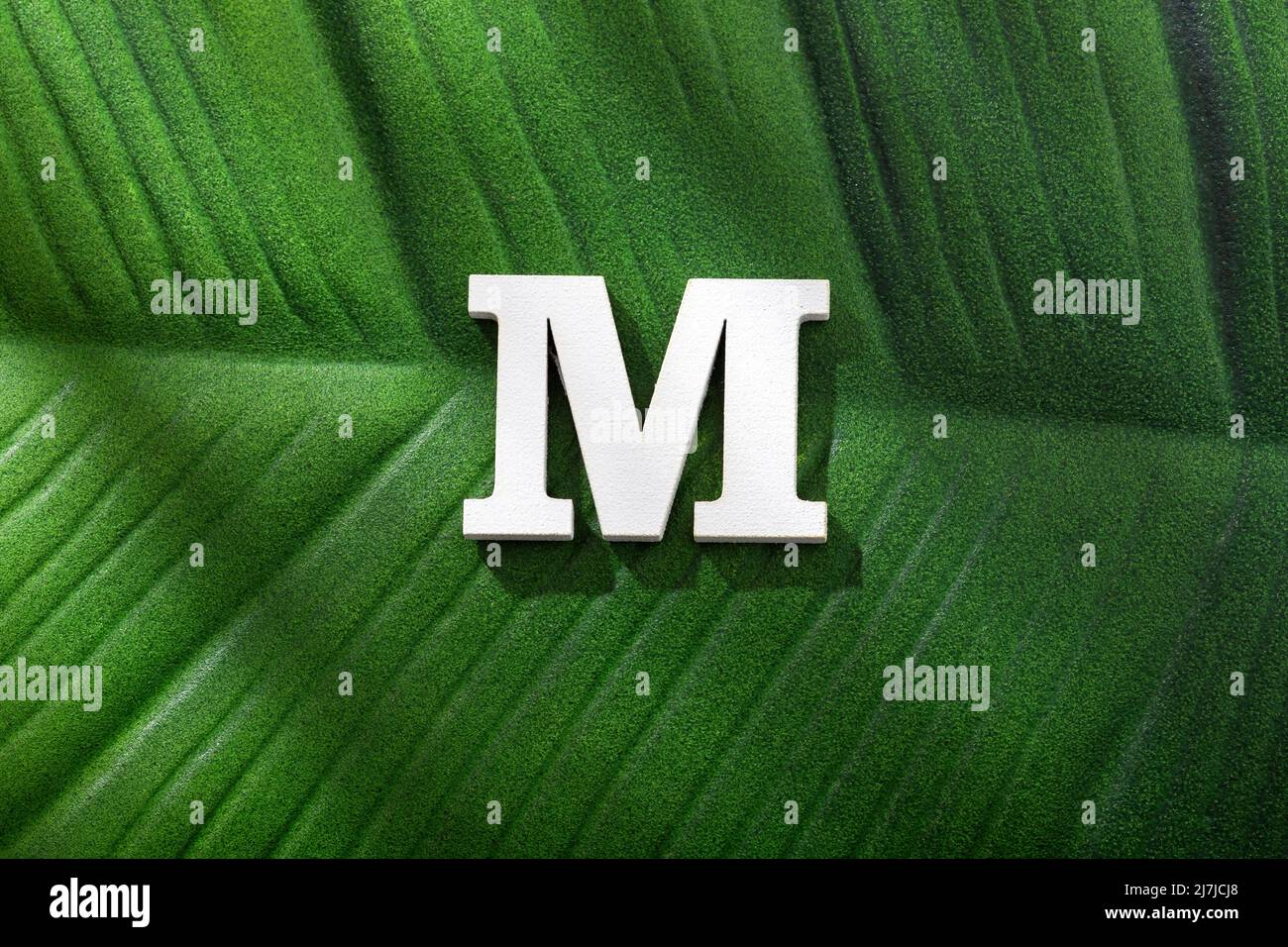Alphabet letter M - Green leaf of tropical plant Stock Photo - Alamy