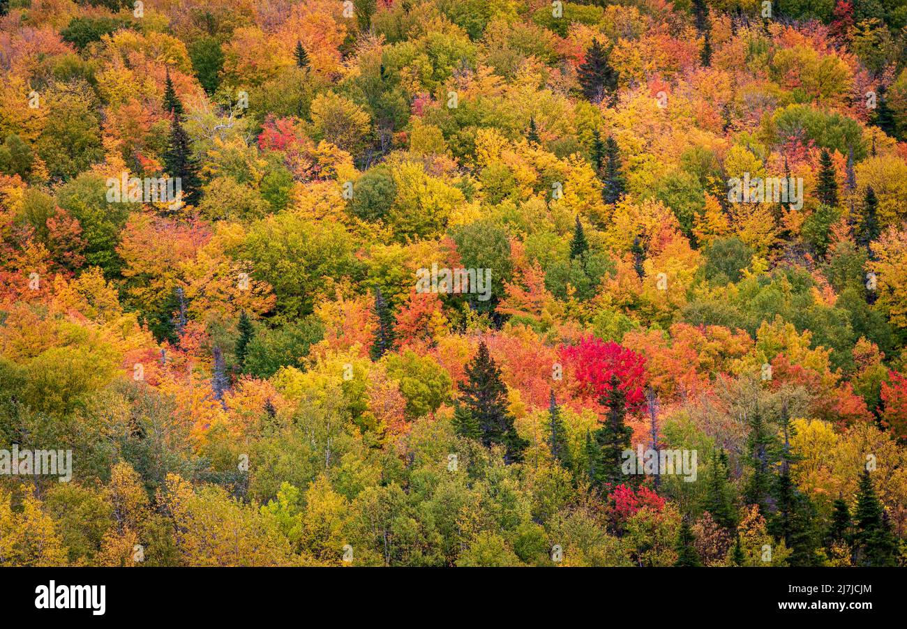 Mixed colours colors hi-res stock photography and images - Alamy