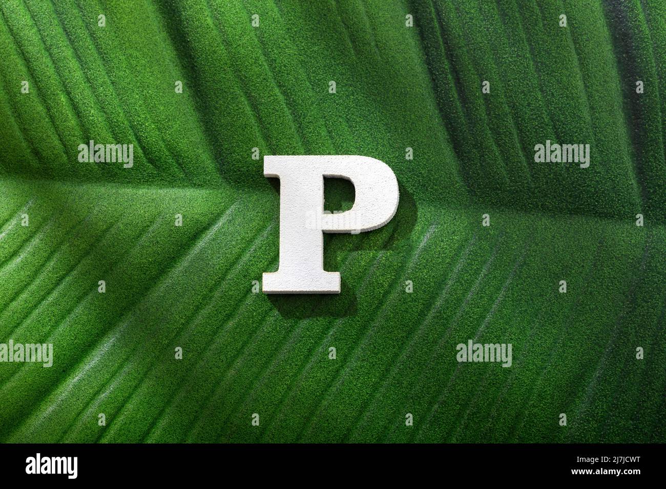 Uppercase letter P over forest tropical leaf Stock Photo - Alamy