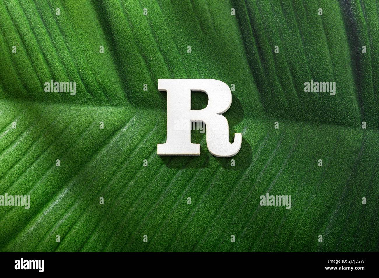 Uppercase letter R over forest tropical leaf Stock Photo - Alamy