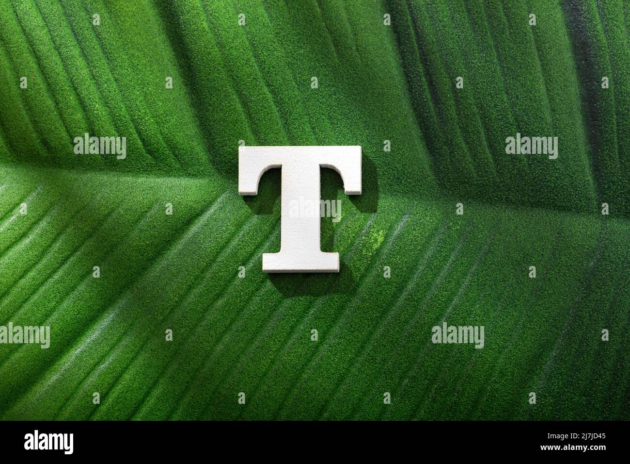 Uppercase letter T over forest tropical leaf Stock Photo - Alamy
