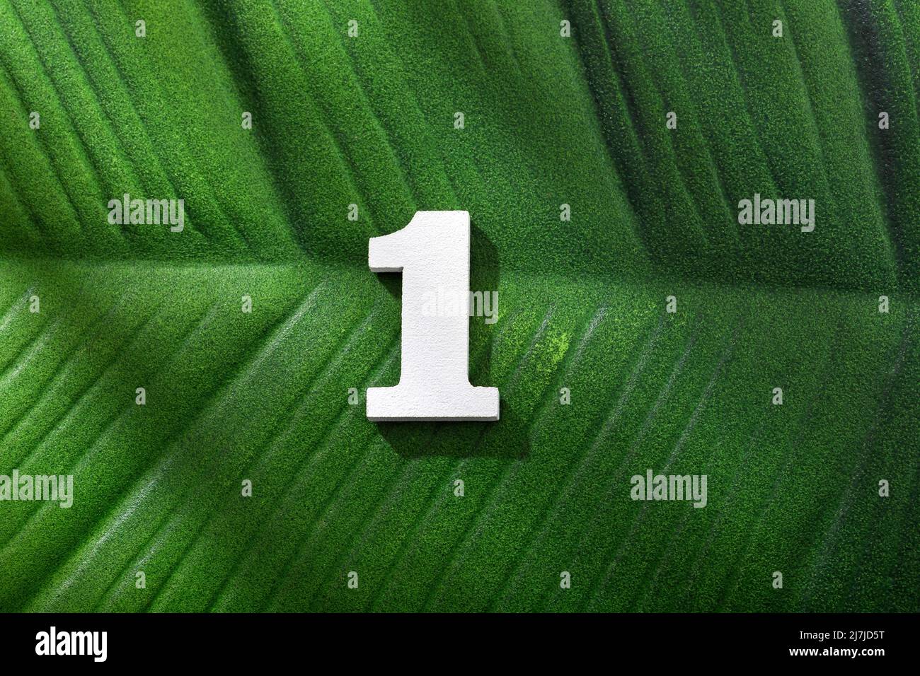 Number 1 (one) over forest tropical leaf Stock Photo - Alamy
