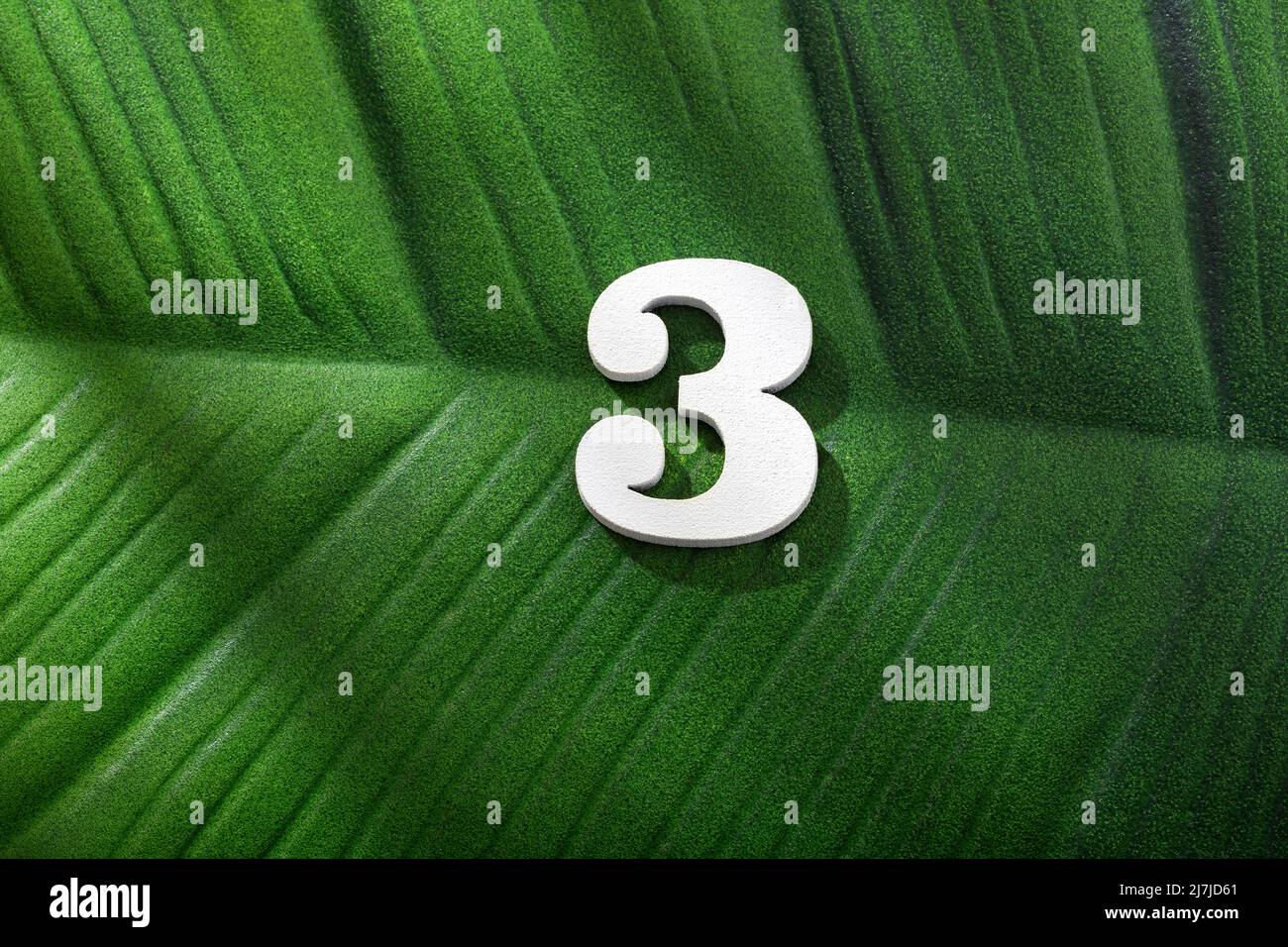 Number 3 (three) over forest tropical leaf Stock Photo - Alamy