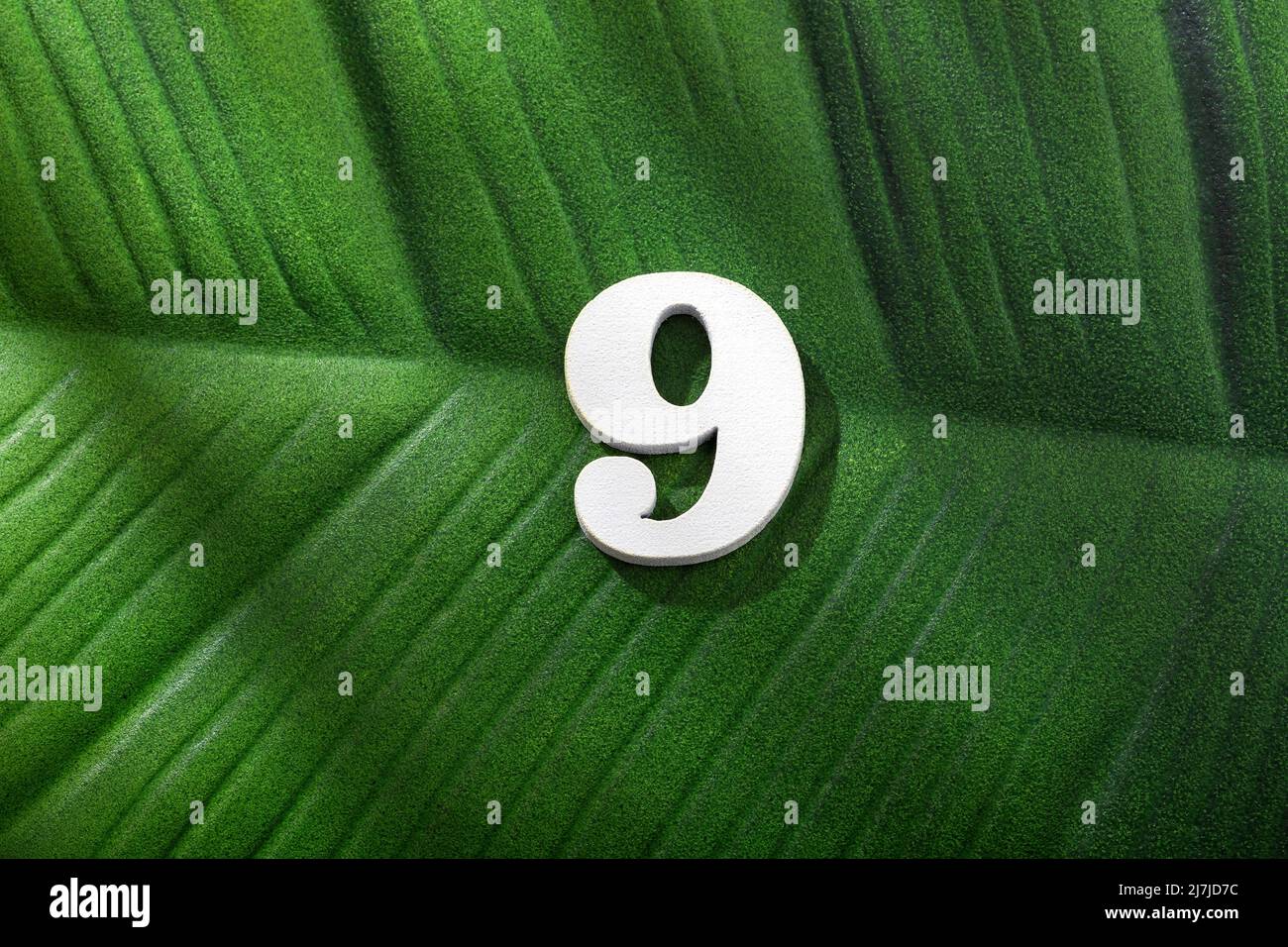 Number 9 (nine) over forest tropical leaf Stock Photo - Alamy