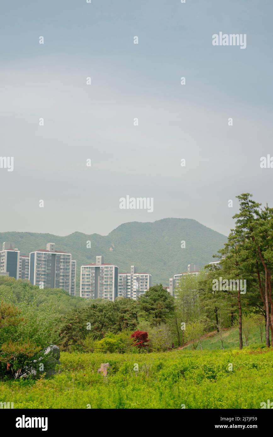 Chomakgol Eco Park green forest and apartment buildings in Gunpo, Korea ...