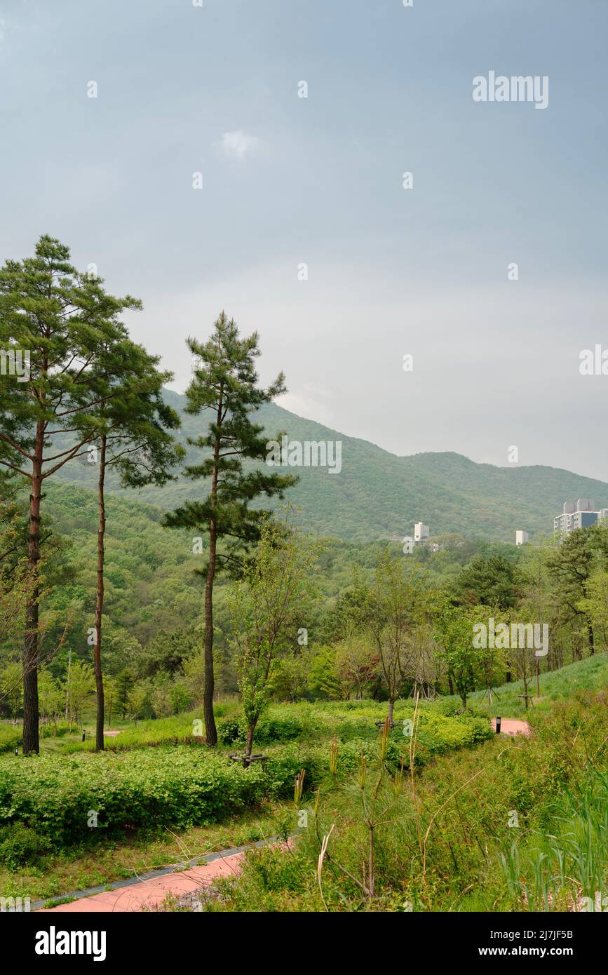 Chomakgol Eco Park green nature scenery in Gunpo, Korea Stock Photo - Alamy