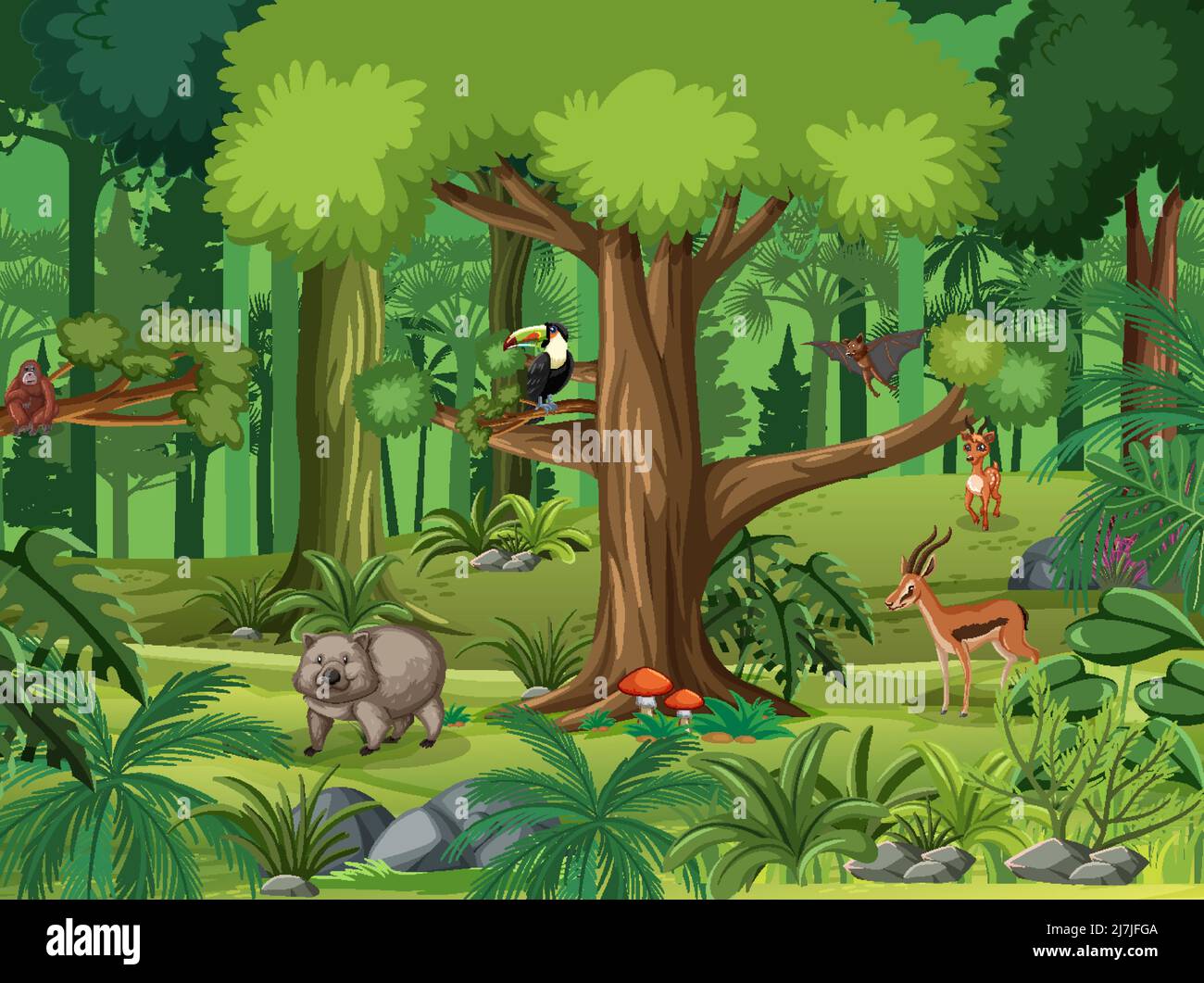 Forest scene with various wild animals illustration Stock Vector Image ...