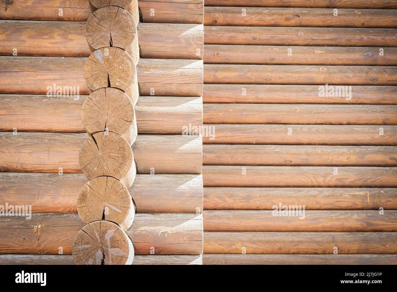 Texture wooden closeup. Natural wood texture. The board is painted ...
