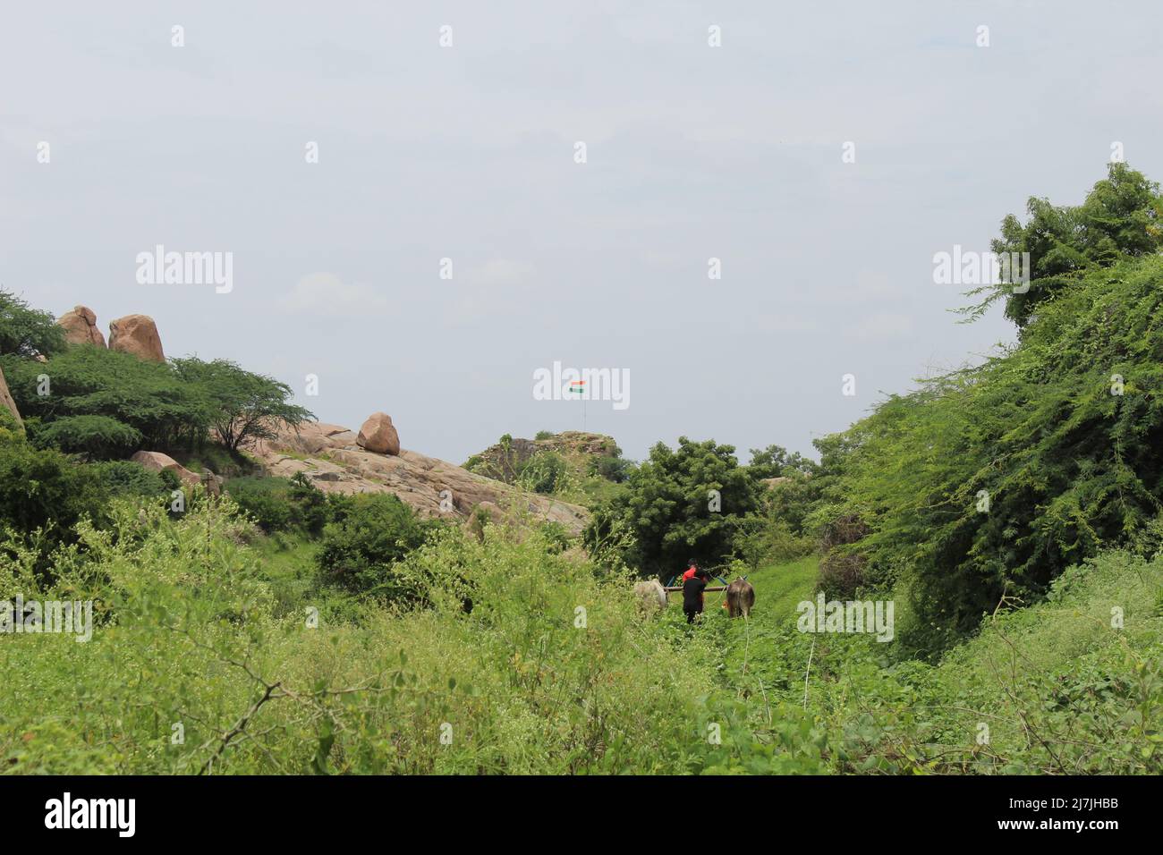 Natural green tree's and outdoor mountain up on India flag working ...