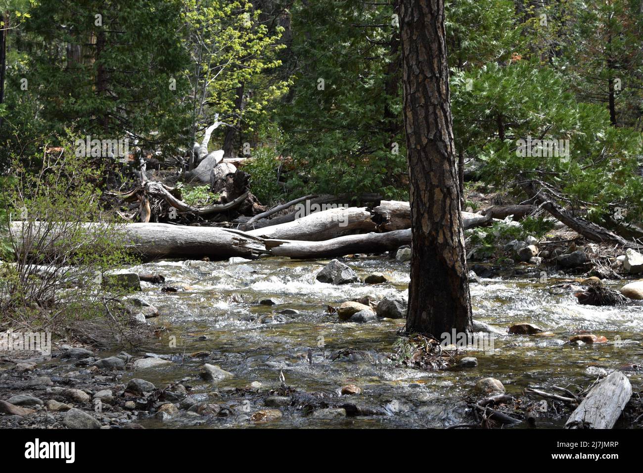 Stream running through Yosemite National Park in California Stock Photo ...