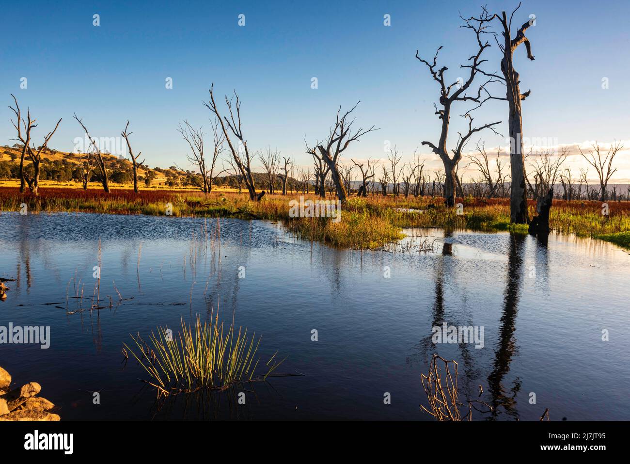 Winton victoria hi-res stock photography and images - Alamy