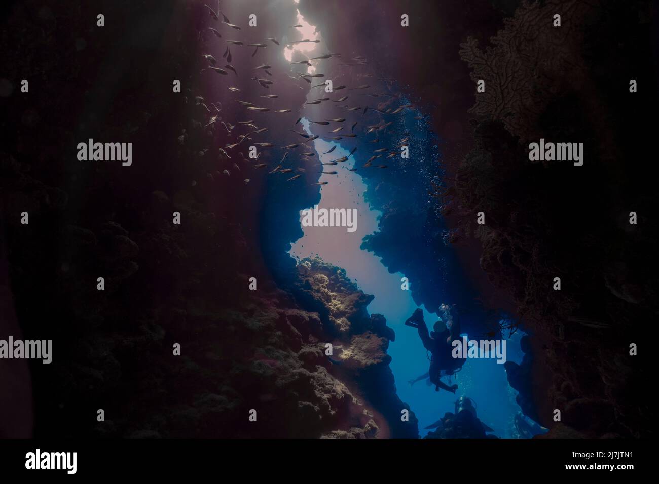 Apollo 33a5 Satelite