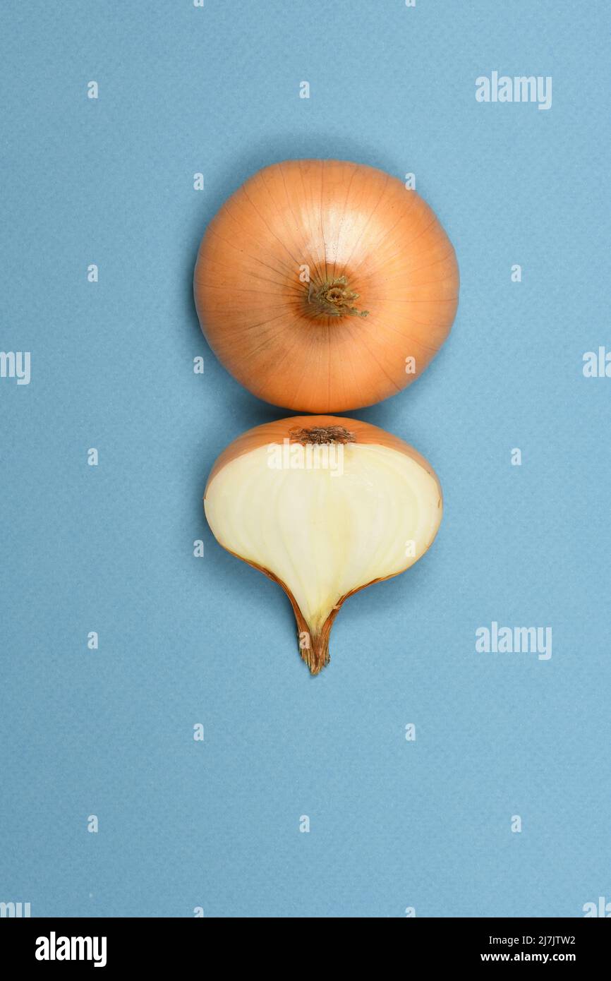 Yellow onion bulbs on blue background. High resolution photo. Full ...