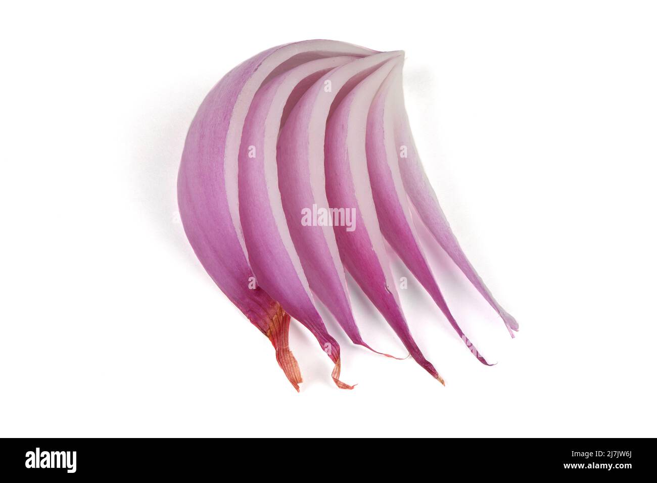 Sliced red onion slices isolated on a white background. High resolution ...