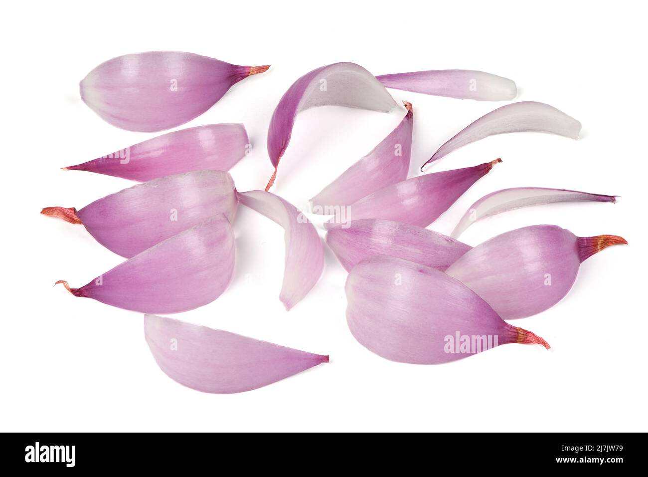 Sliced red onion slices isolated on a white background. High resolution ...
