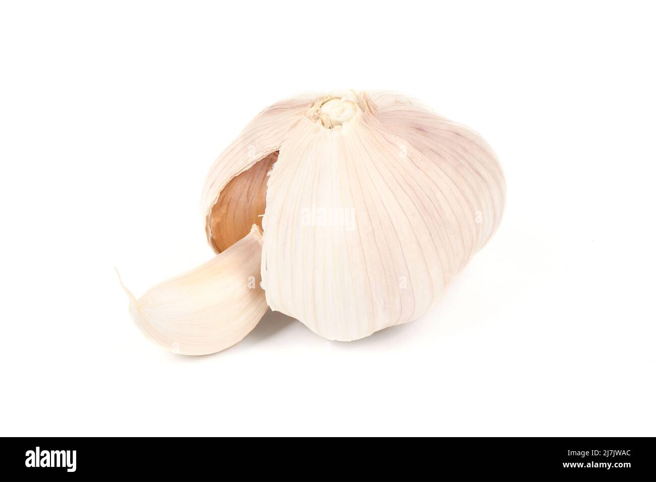 Garlic isolated on white background. High resolution photo. Full depth ...