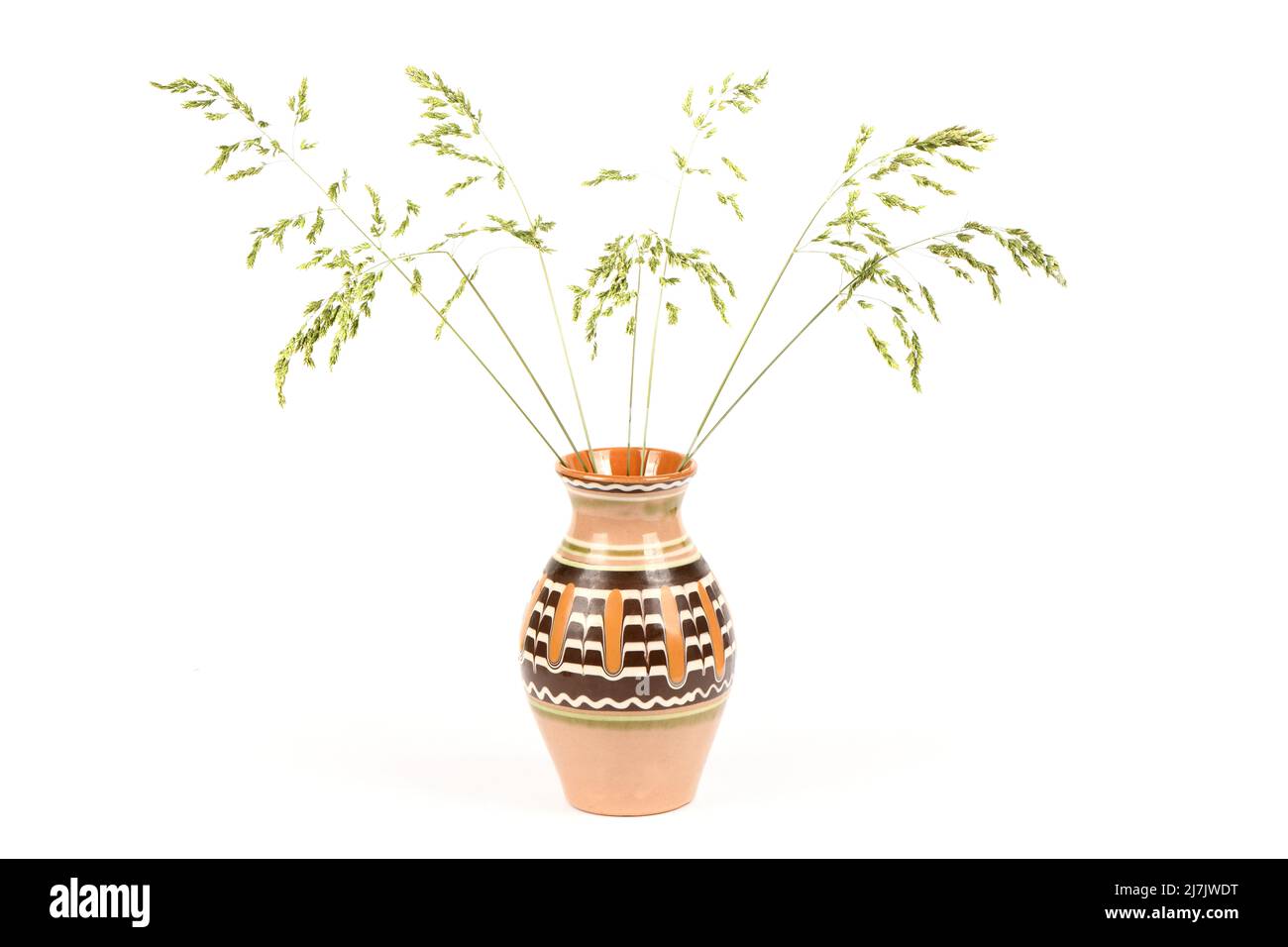 Reed in green grass Cut Out Stock Images & Pictures - Alamy