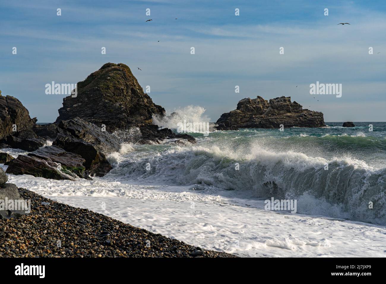 Shore break on a rocky beach with seagulls flying around Stock Photo ...