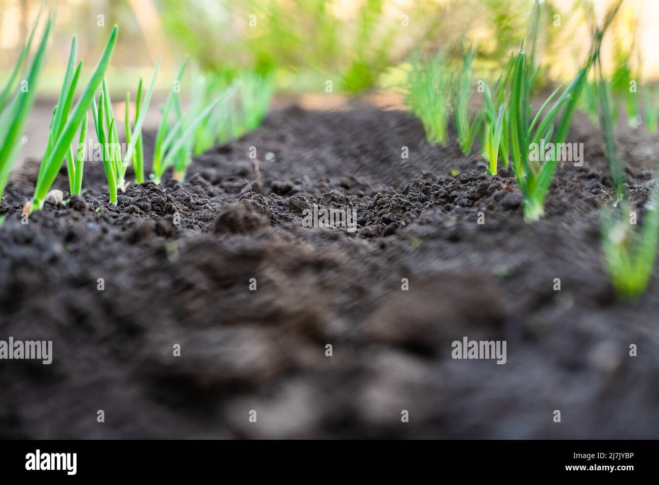 Gardening aisle hi-res stock photography and images - Alamy