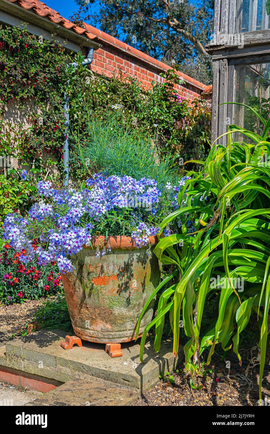Scenes from the gardens at East Ruston Old Vicarage Garden in East ...