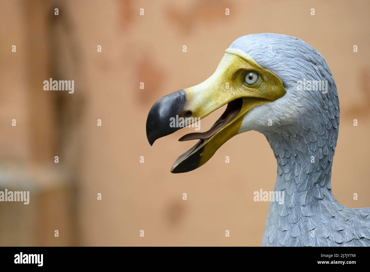 Life size reconstruction of the extinct Dodo bird endemic of Mauritius ...
