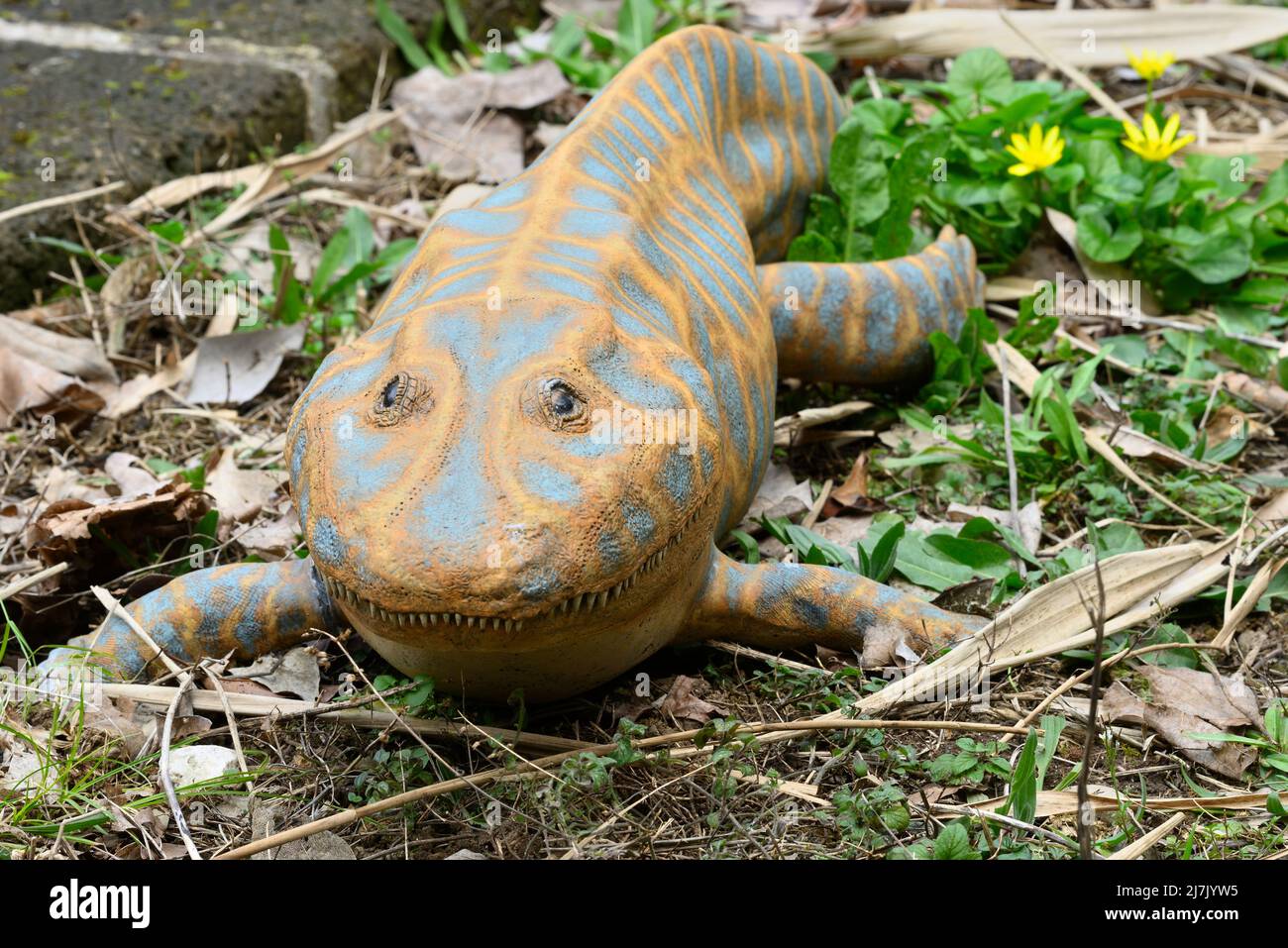 Devonian amphibian hi-res stock photography and images - Alamy