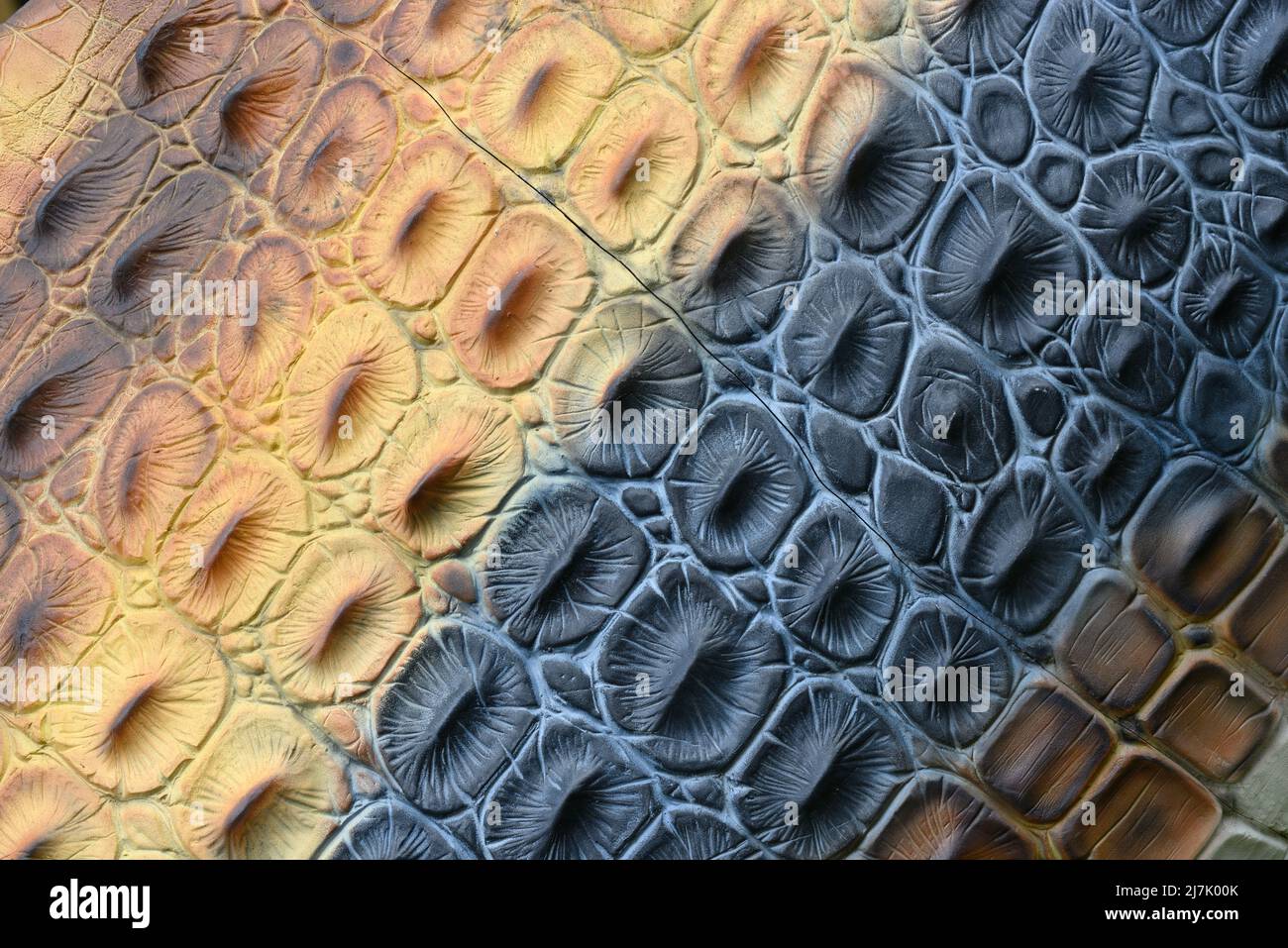 Reconstruction of detail of flaked skin of prehistoric dinosaur Stock ...