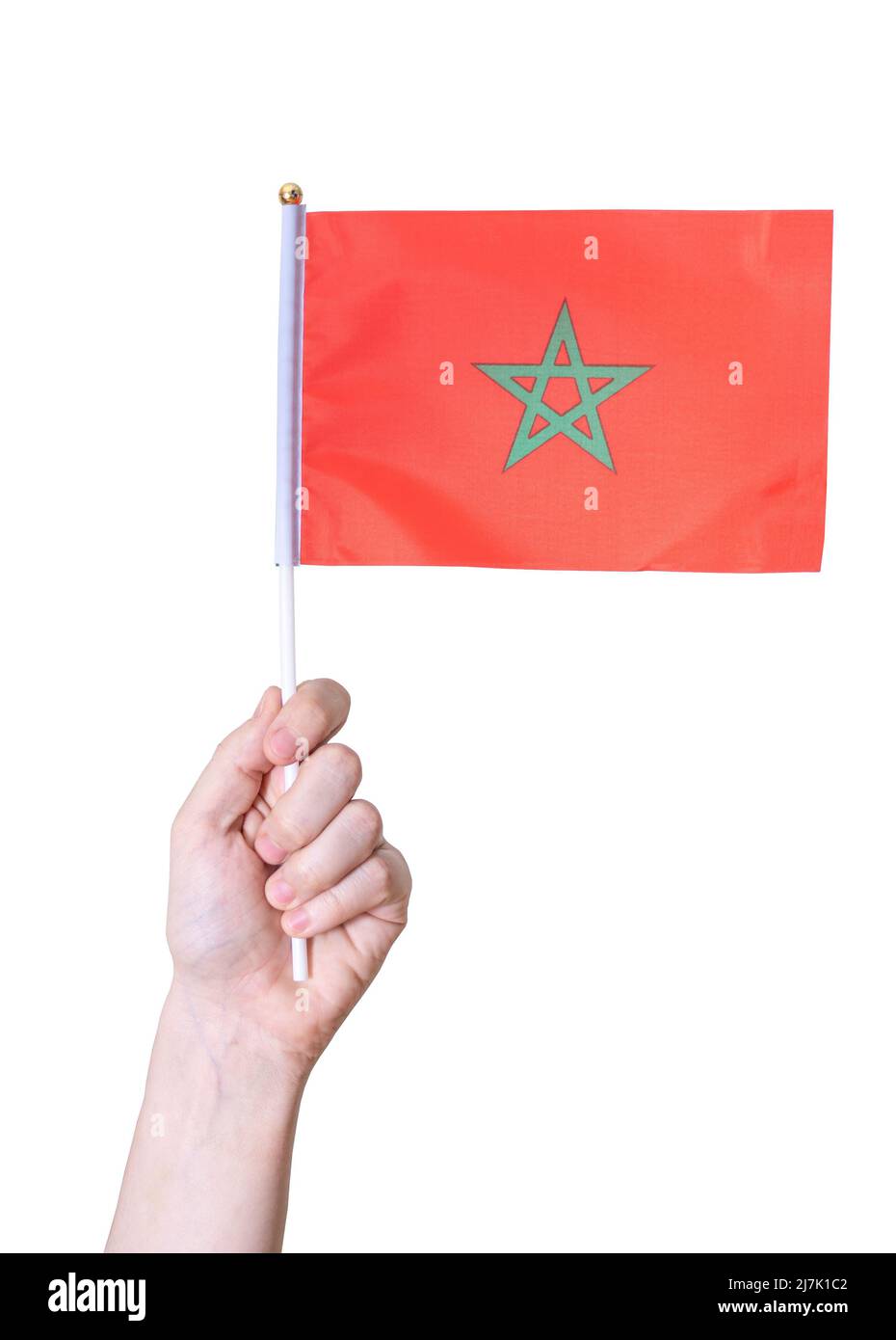 A hand holds the flag The flag of Morocco on a white isolated ...