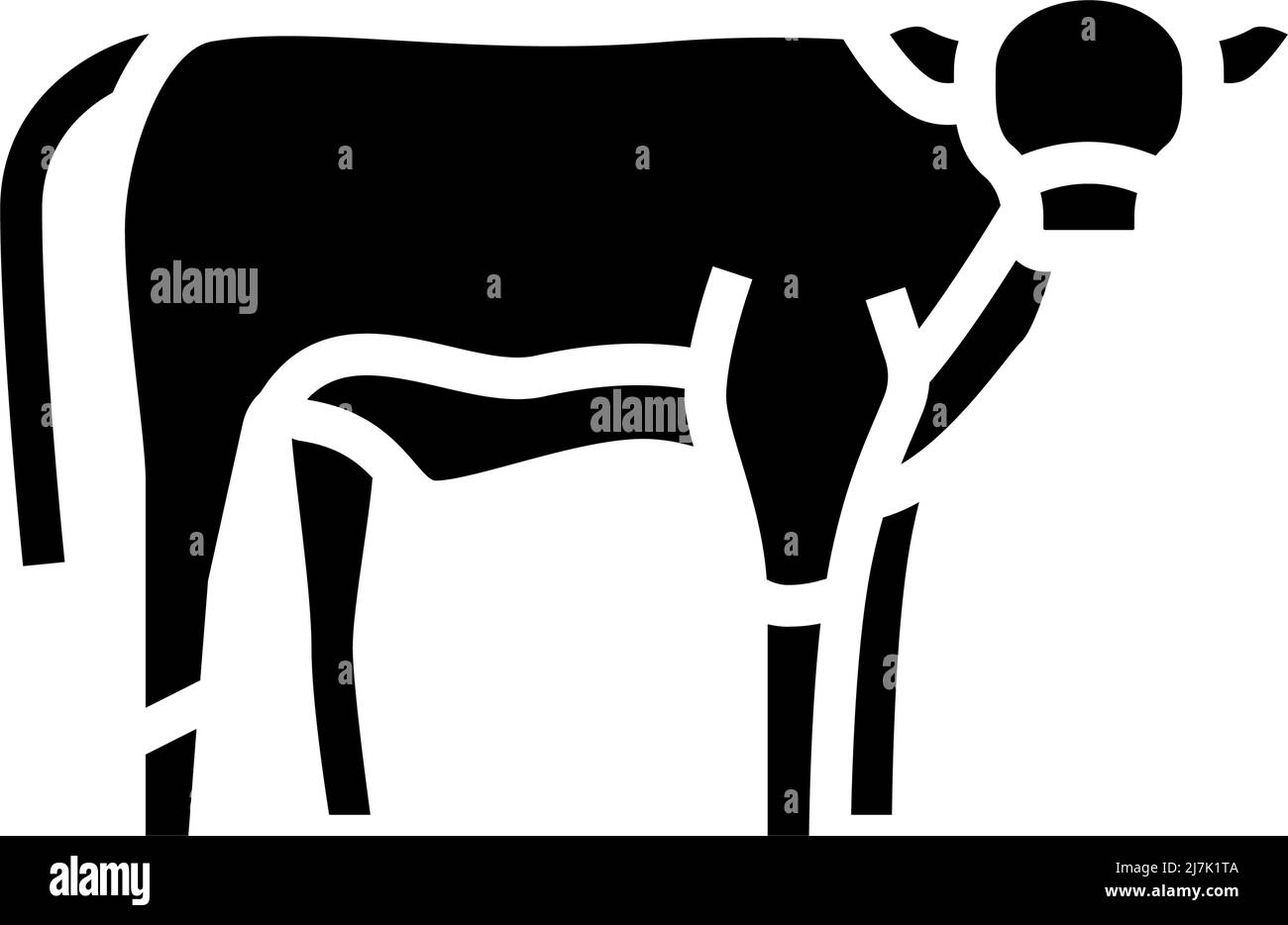 calf domestic animal glyph icon vector illustration Stock Vector Image ...
