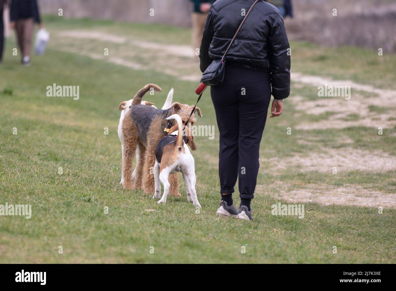 Playful approach hi-res stock photography and images - Alamy