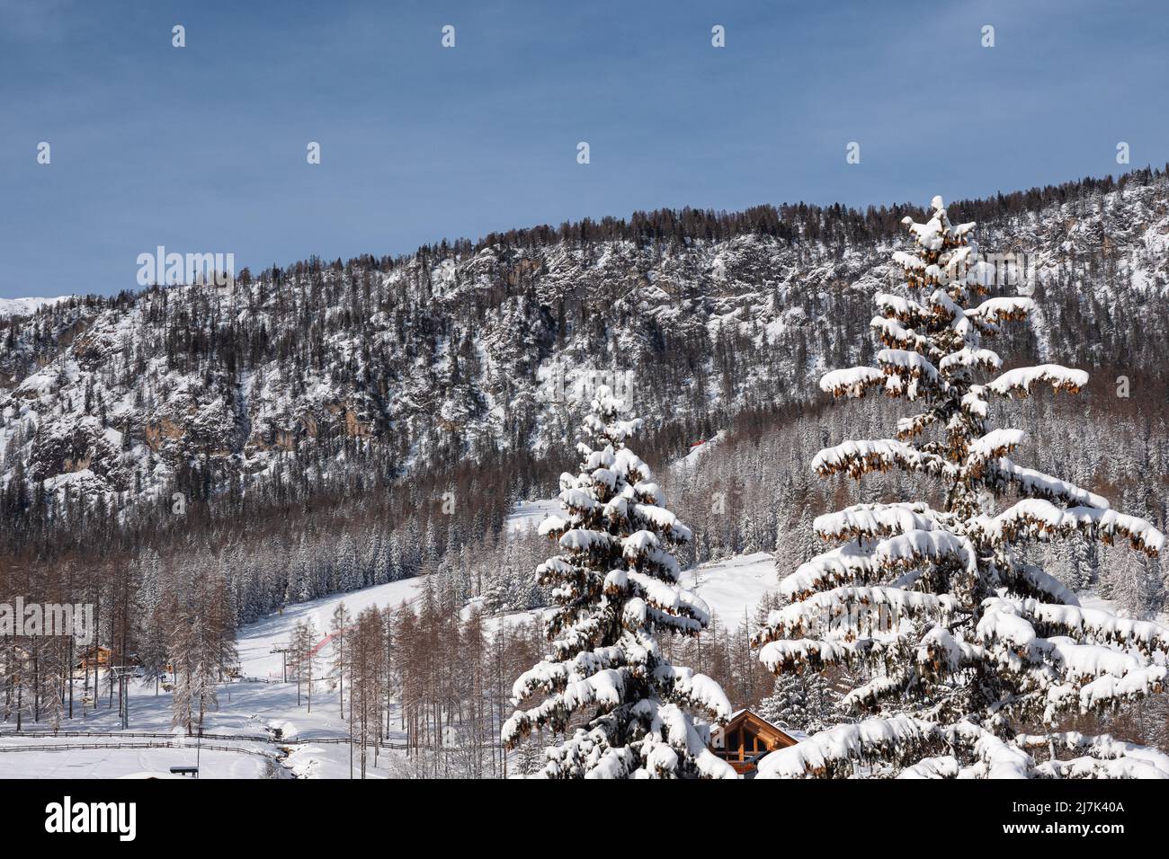 Tree filled slope hi-res stock photography and images - Alamy