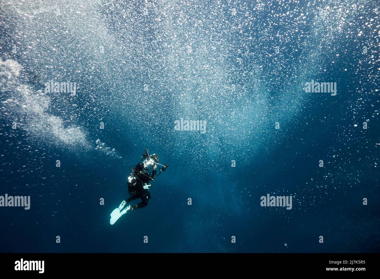 Mr vis hi-res stock photography and images - Alamy