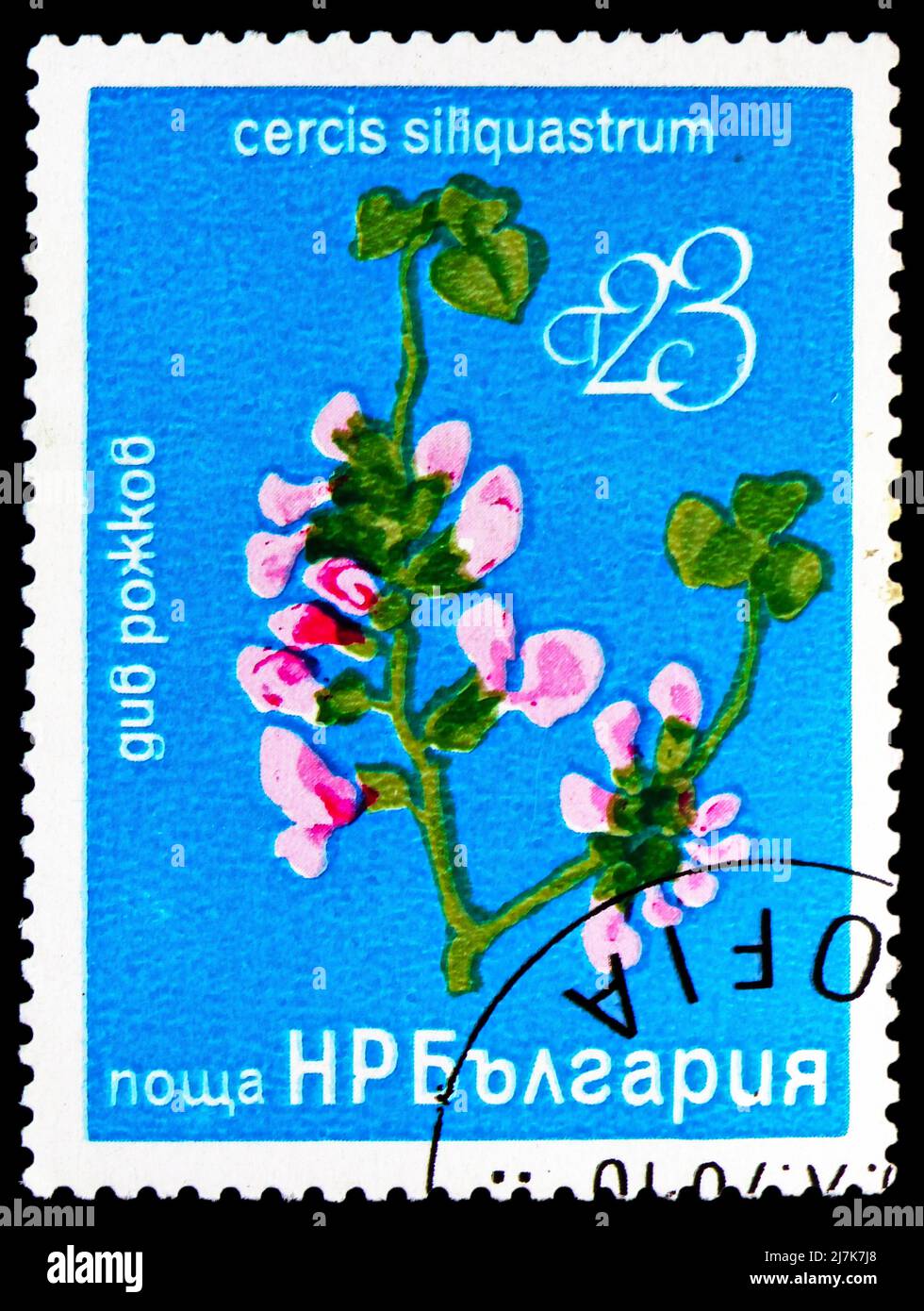 MOSCOW, RUSSIA - MARCH 27, 2022: Postage stamp printed in Bulgaria ...