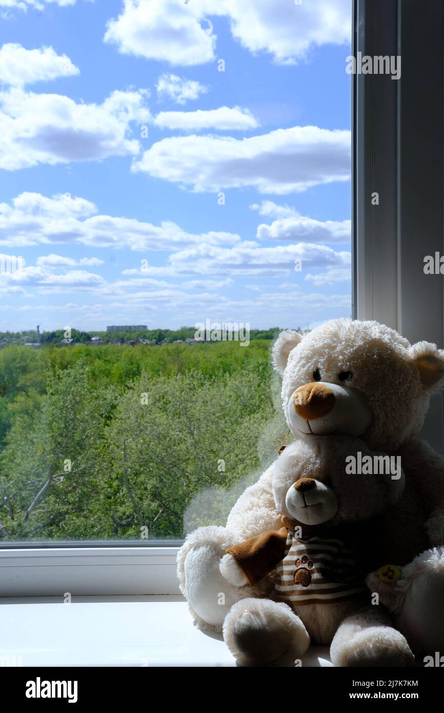 Bear dolls. View from high-rise building glass window. White bear ...