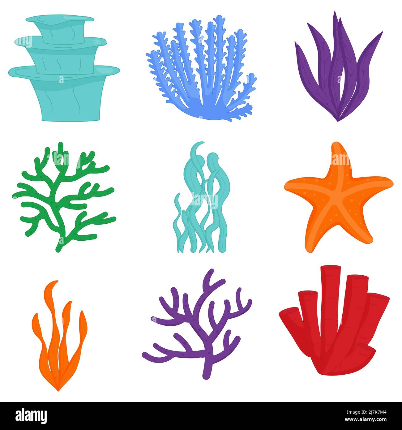 Algae sea red beach Cut Out Stock Images & Pictures - Alamy