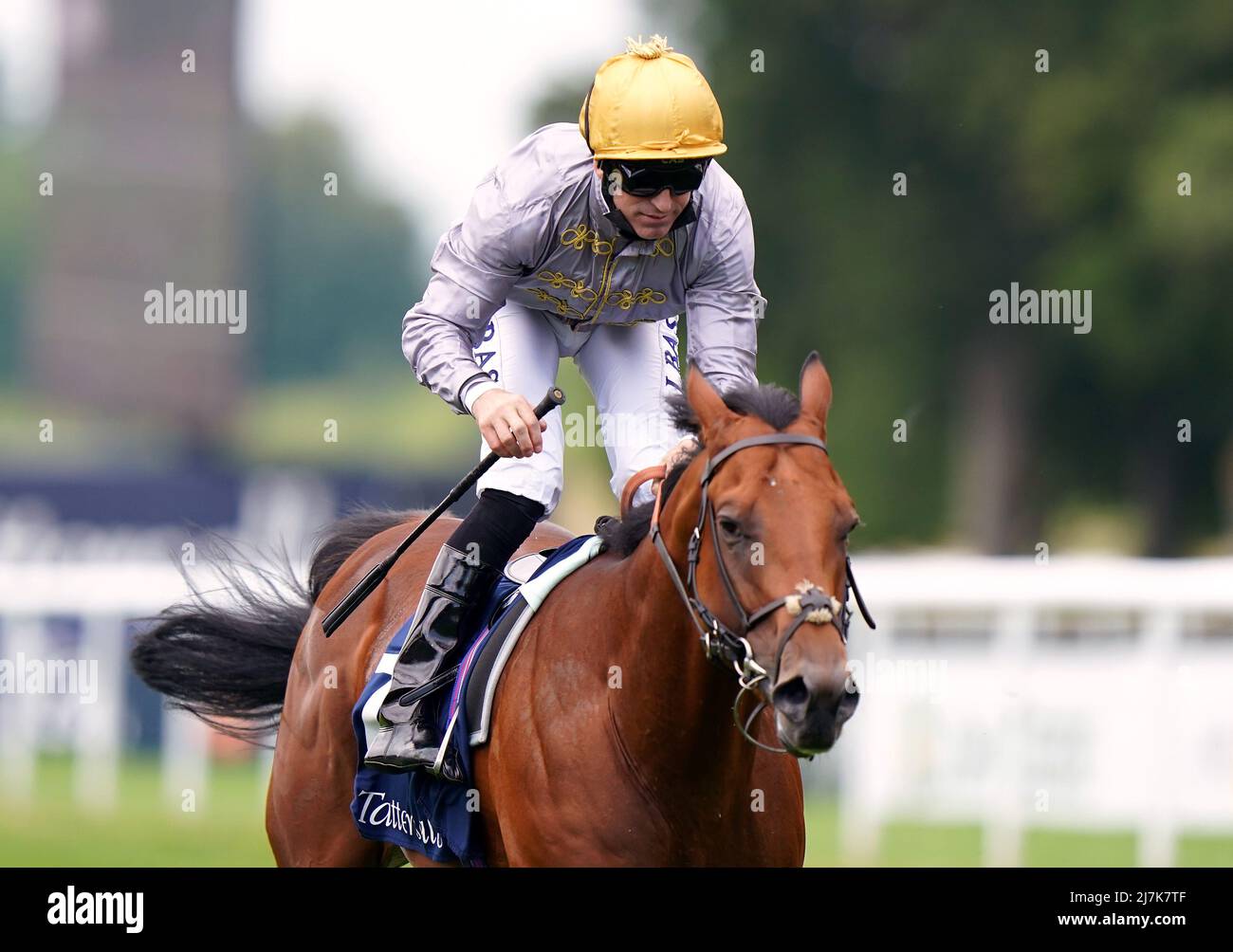 Lusail palace hi-res stock photography and images - Alamy