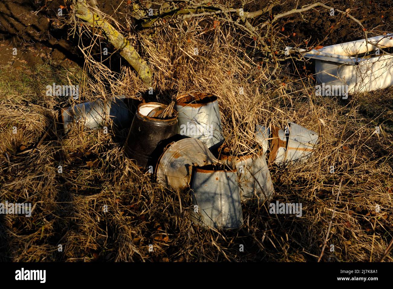Old rusted damaged buckets in the village. Natural background of field ...