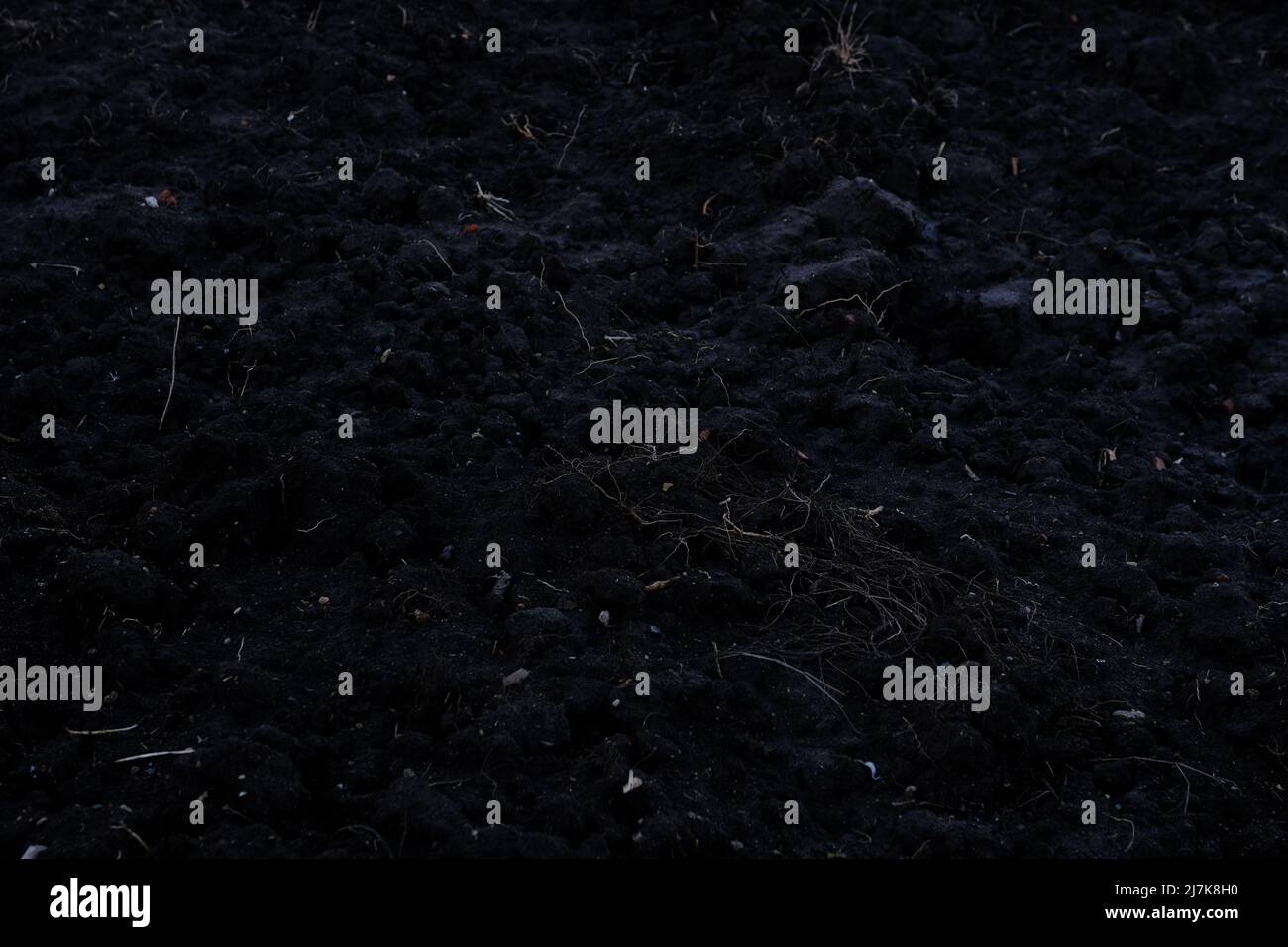 Black soil texture hi-res stock photography and images - Alamy
