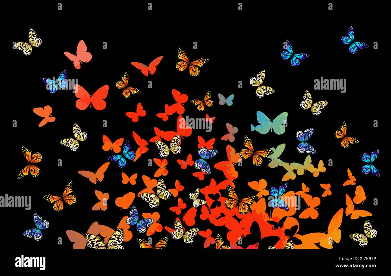 Abstract multicolored butterflies. On a black background. Vector ...
