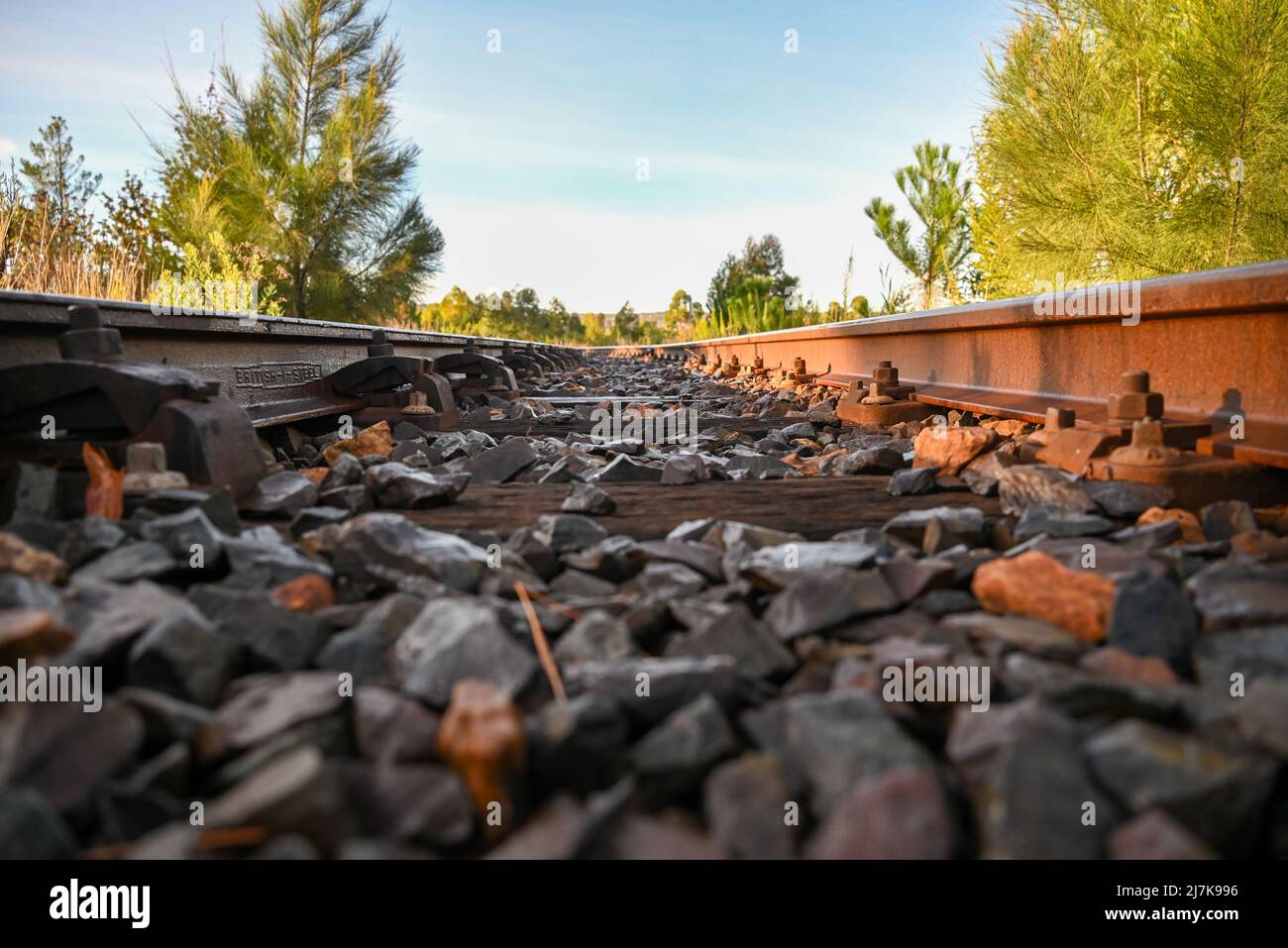 Center of train track in nature Stock Photo - Alamy