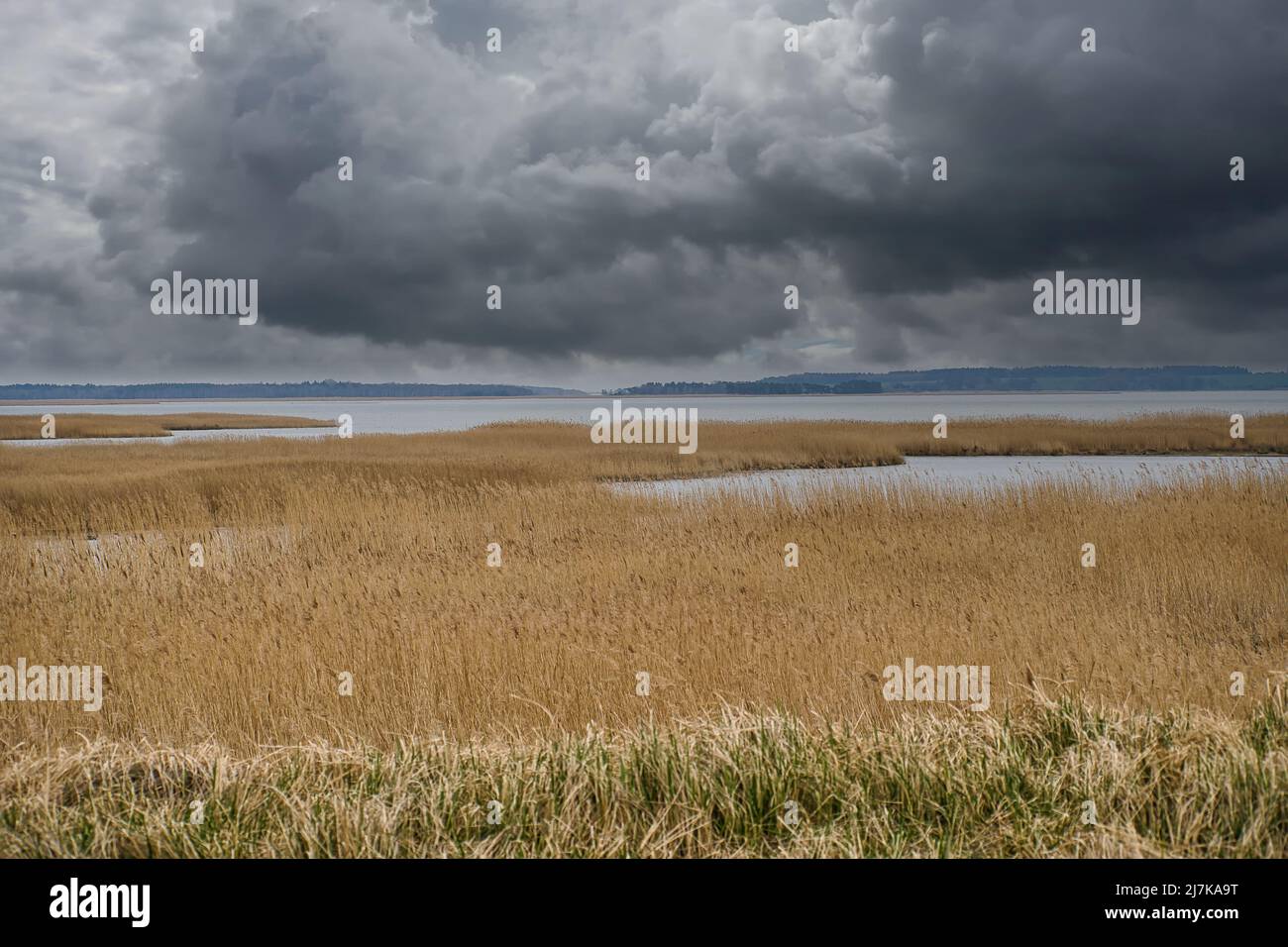Bird lookout Pramort on the darss. wide landscape with dramatic clouds ...