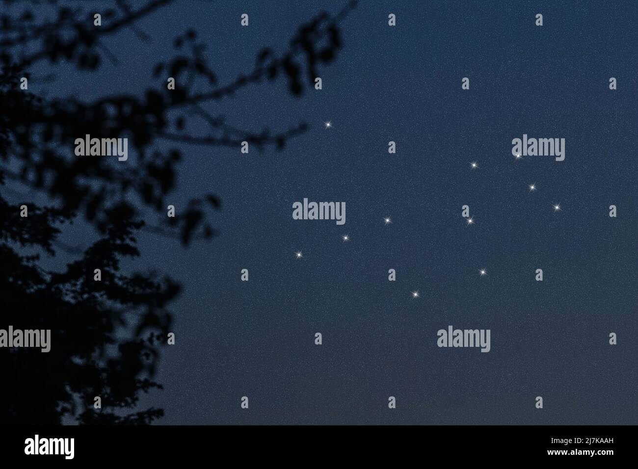 Pavo star constellation, Night sky, Cluster of stars, Deep space ...