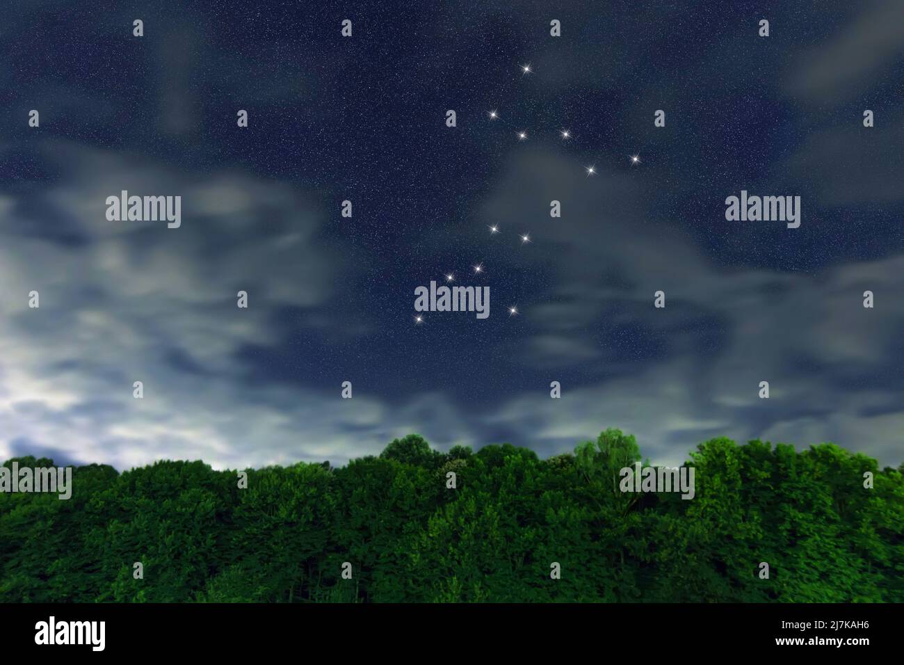 Canis Major star constellation, Night sky, Cluster of stars, Deep space ...