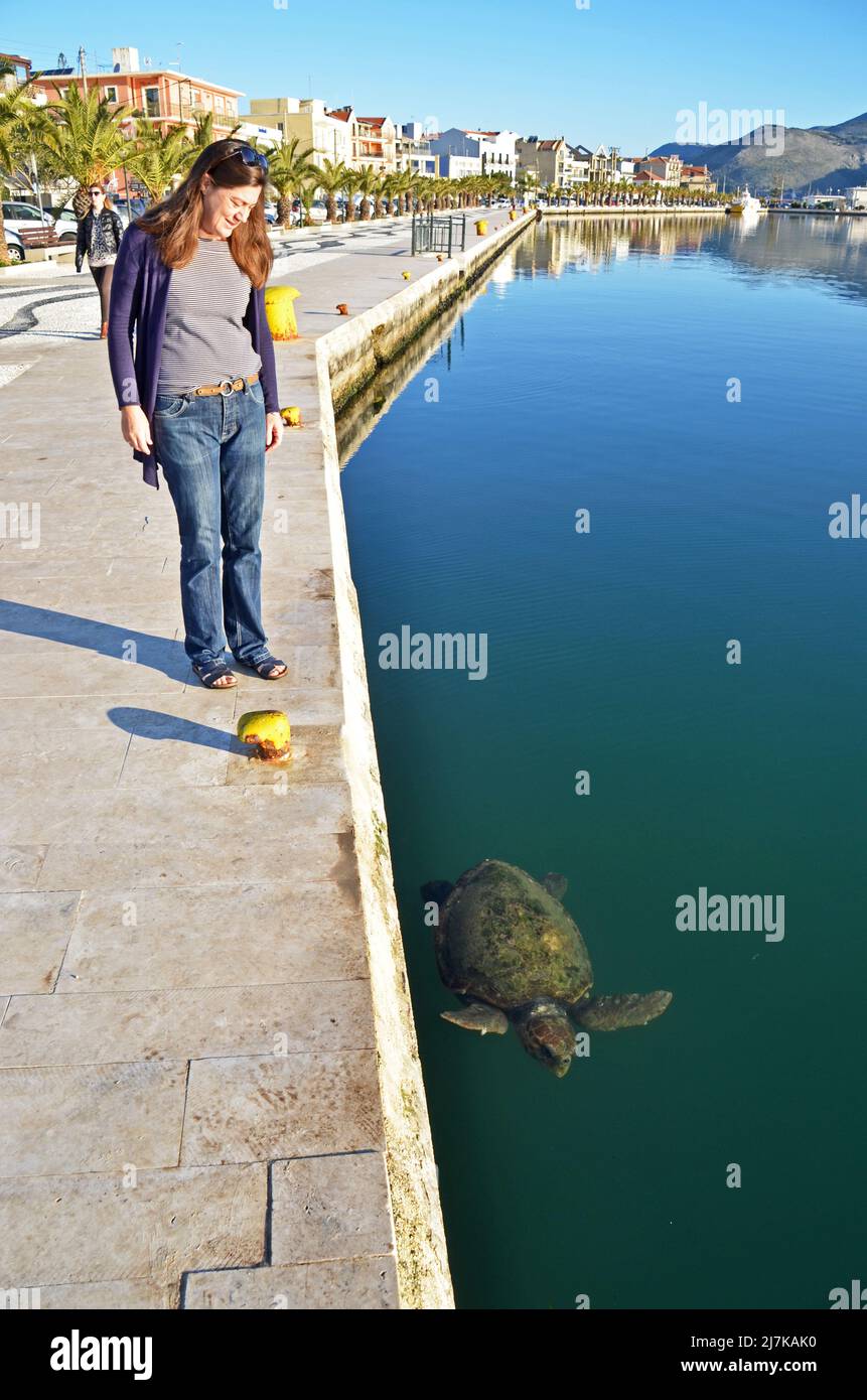 A tourist photographs a loggerhead sea turtle (Caretta caretta) on her ...