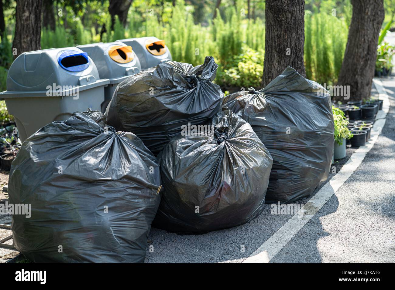 Plastic trash bin bags of garbage on the pavement in park, clean ...