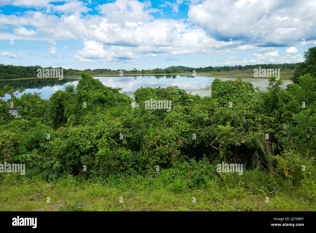 Scenic view of Ikapu Crater Lake, a crater lake in Mbeya, Tanzania ...