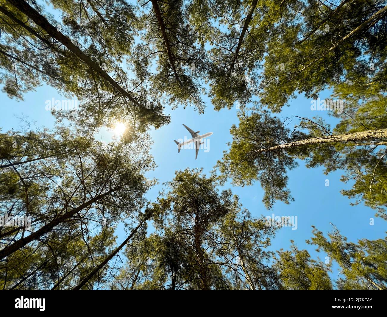 Airplane flying above the forest, bottom view Stock Photo - Alamy