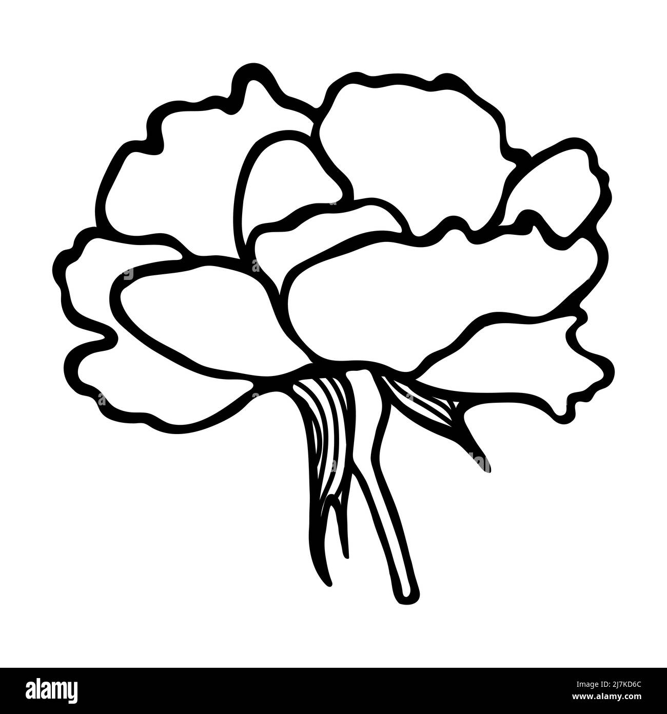 Hand drawing roses. Doodle rose silhouette. Simple hand drawing of a ...