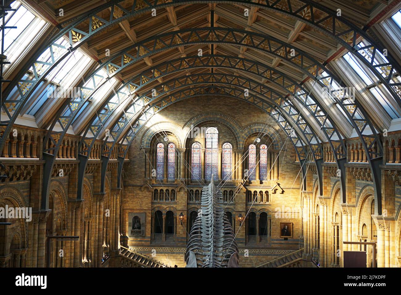 Interior natural light hi-res stock photography and images - Alamy